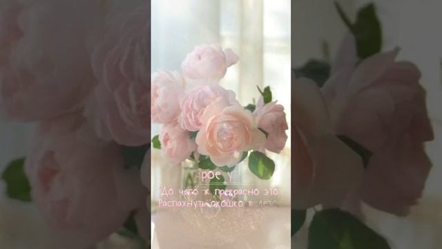 До чего ж прекрасно это