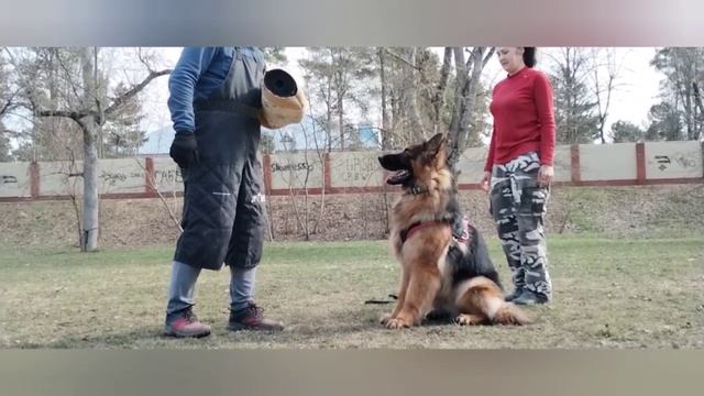 Баларис Аксель, 2 года.