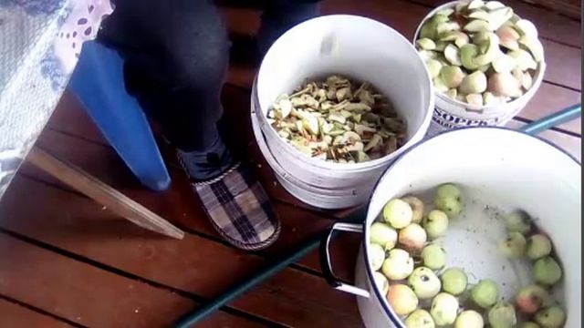 Сидр. Яблочное вино от А до Я. Самый простой рецепт сидра.