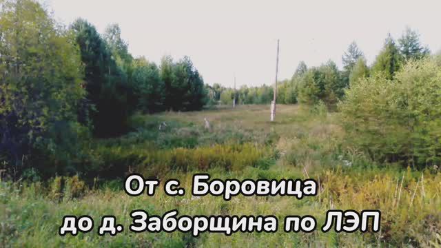 От села Боровица до деревни Заборщина по ЛЭП.mp4
