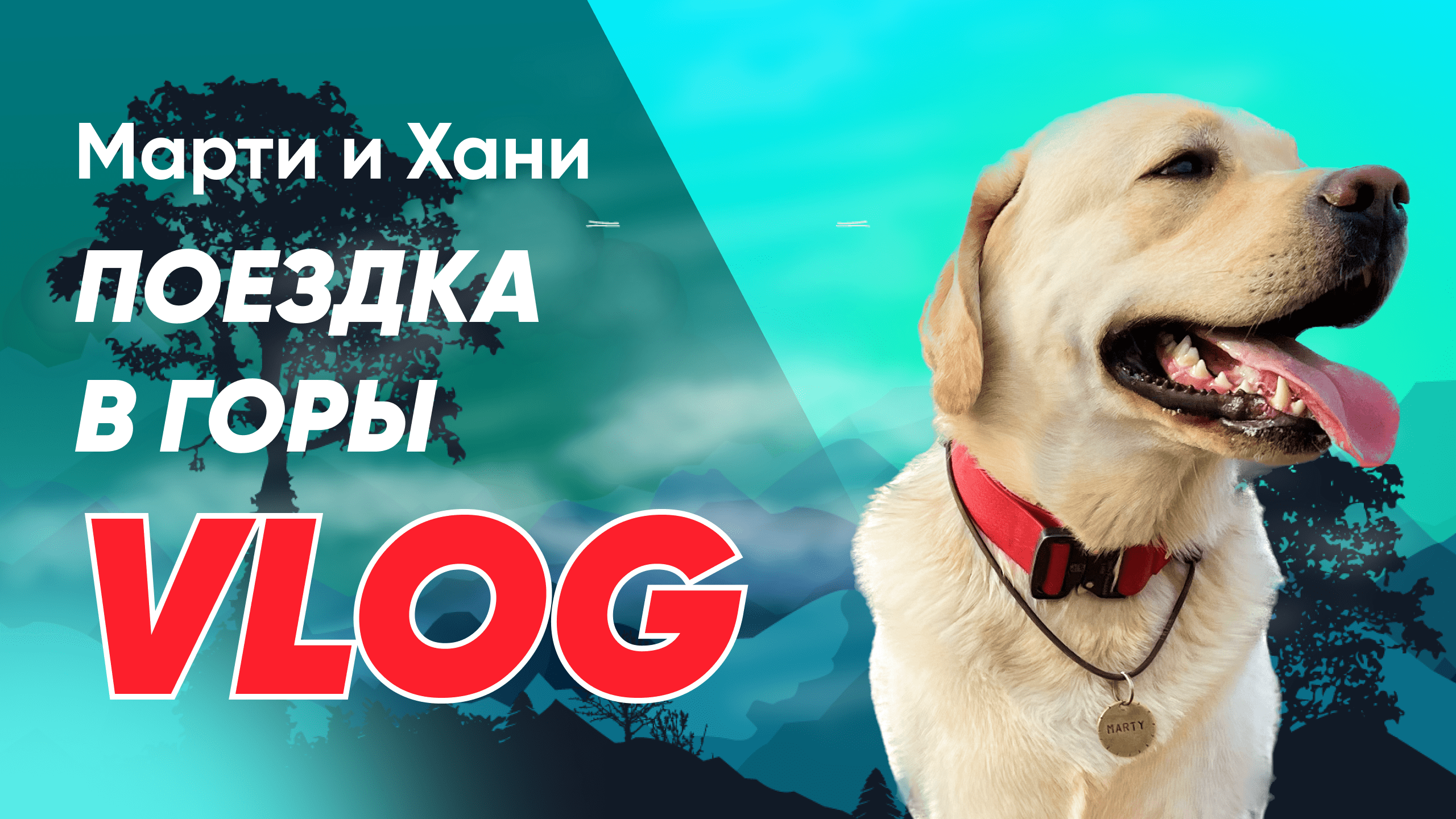 VLOG / ПОЕЗДКА К МОРЮ И В ГОРЫ / НАОРАЛА БАРЫШНЯ / ЧУТЬ НЕ УПАЛ С ГОРЫ