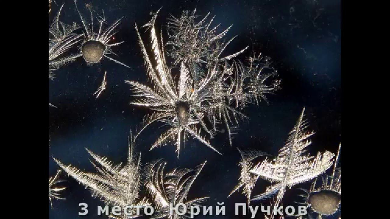 Победители конкурса "Зимние узоры"
