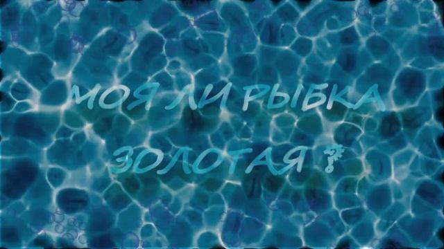 Моя ли рыбка золотая Яркое превью для стихотворного ролика. Креативная анимация