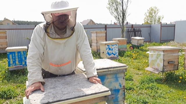 Сделал отводок. Как понять что всё получилось? Какие маточники лучше, роевые или свищевые?