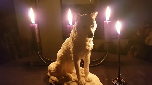 ВЫЖИТЬ ЛЮБОЙ ЦЕНОЙ... ВНУТРЕННИЙ ЗВЕРЬ... ДЛЯ СМЕЛЫХ