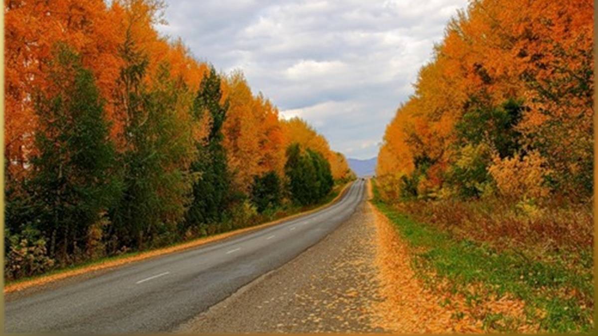 Длинная, длинная осень (объединены 5 видео Осень/Просто осень/Осень на носу/Ну вот и всё/Отполыхало)