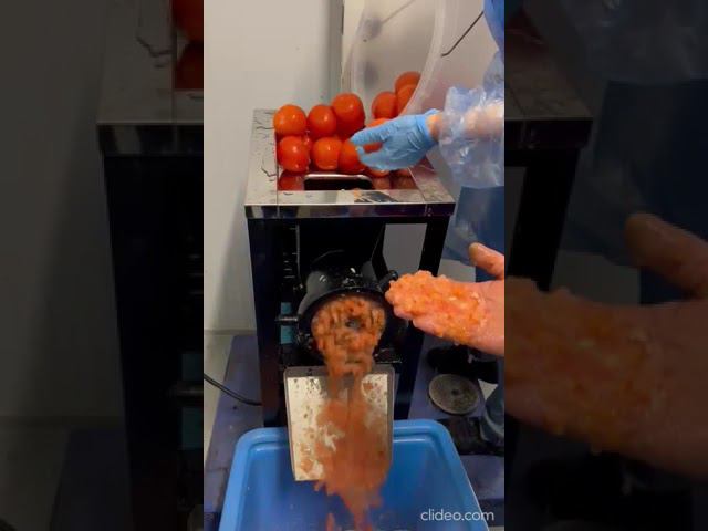 Промышленная мясорубка MS52 BRABUS vs ведро мороженой хурмы