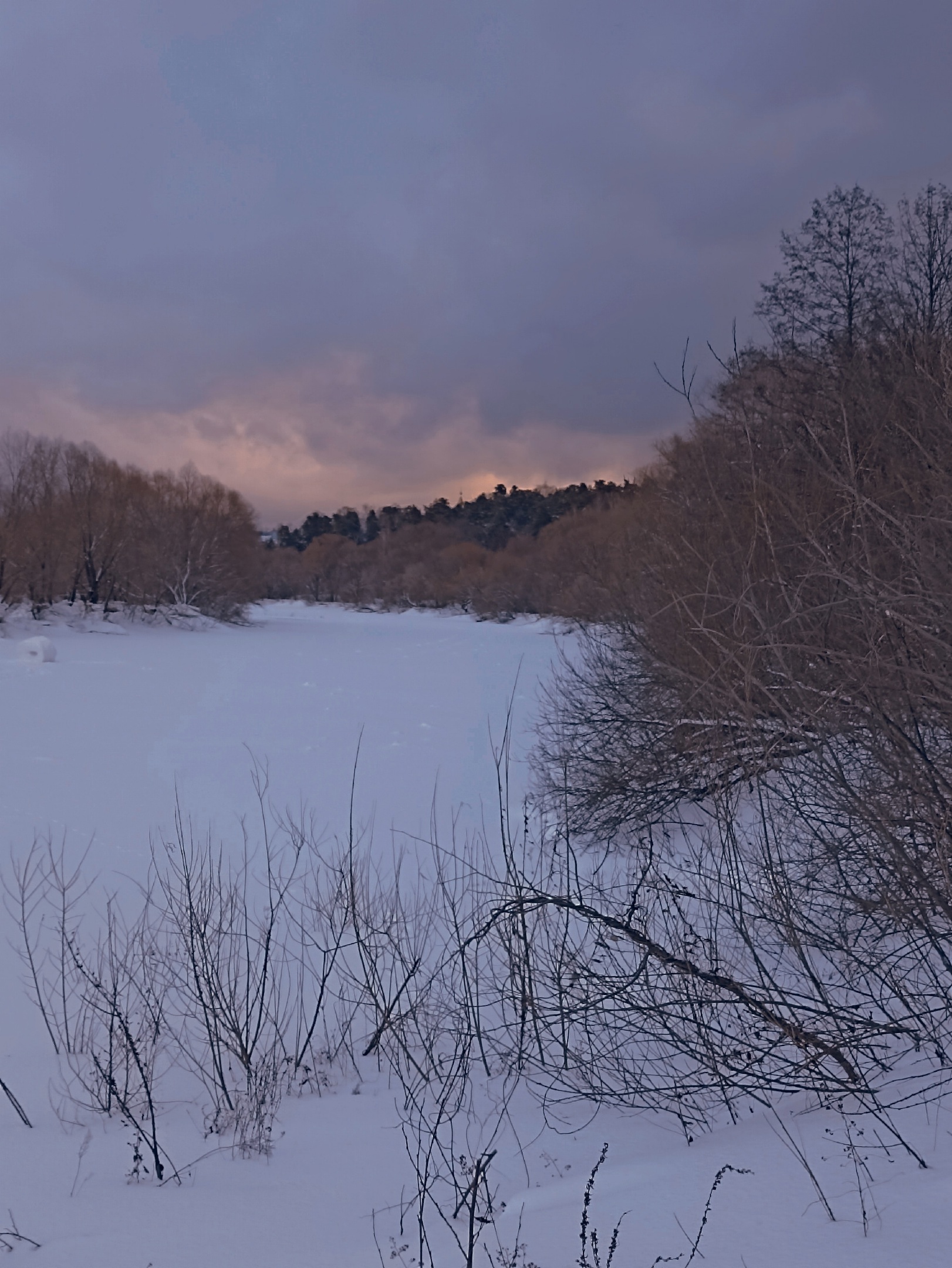 "Я ЛИ В ПОЛЕ ДА НЕ ТРАВУШКОЙ БЫЛА"... (Фото Ларисы Польщиковой (Рязань) - Поёт Альбина Гагарина)