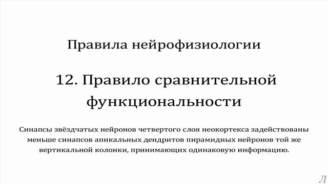 10.12 Правила нейрофизиологии. Правило сравнительной функциональности