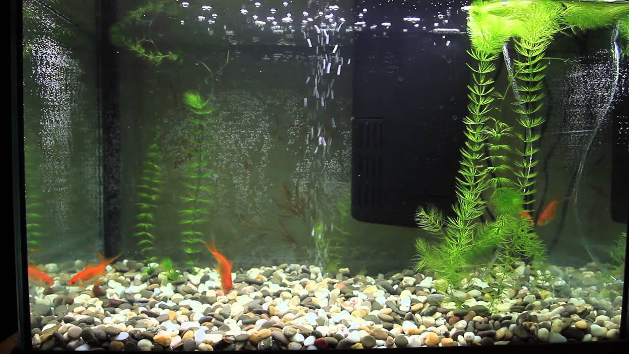 Аквариум 60 литров Tetra