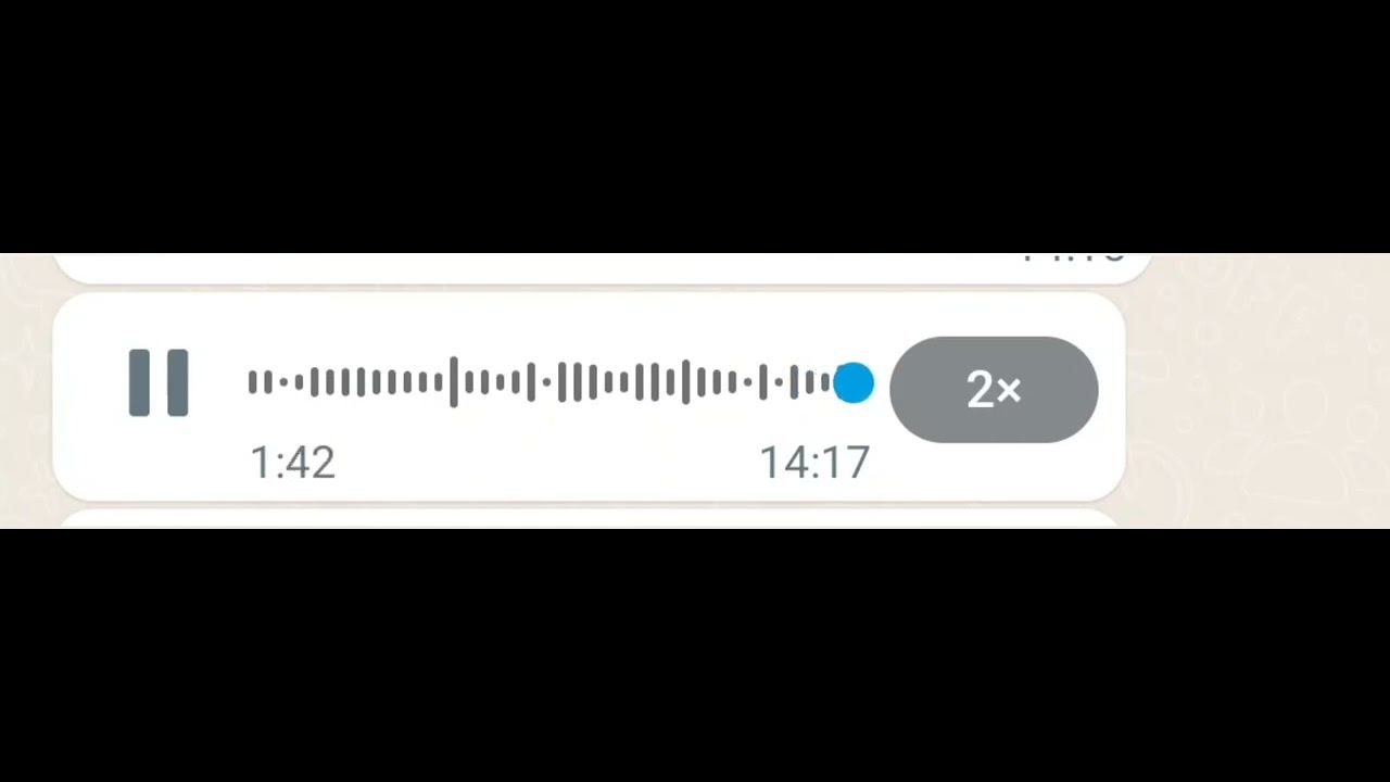 Отзыв о сопровождении