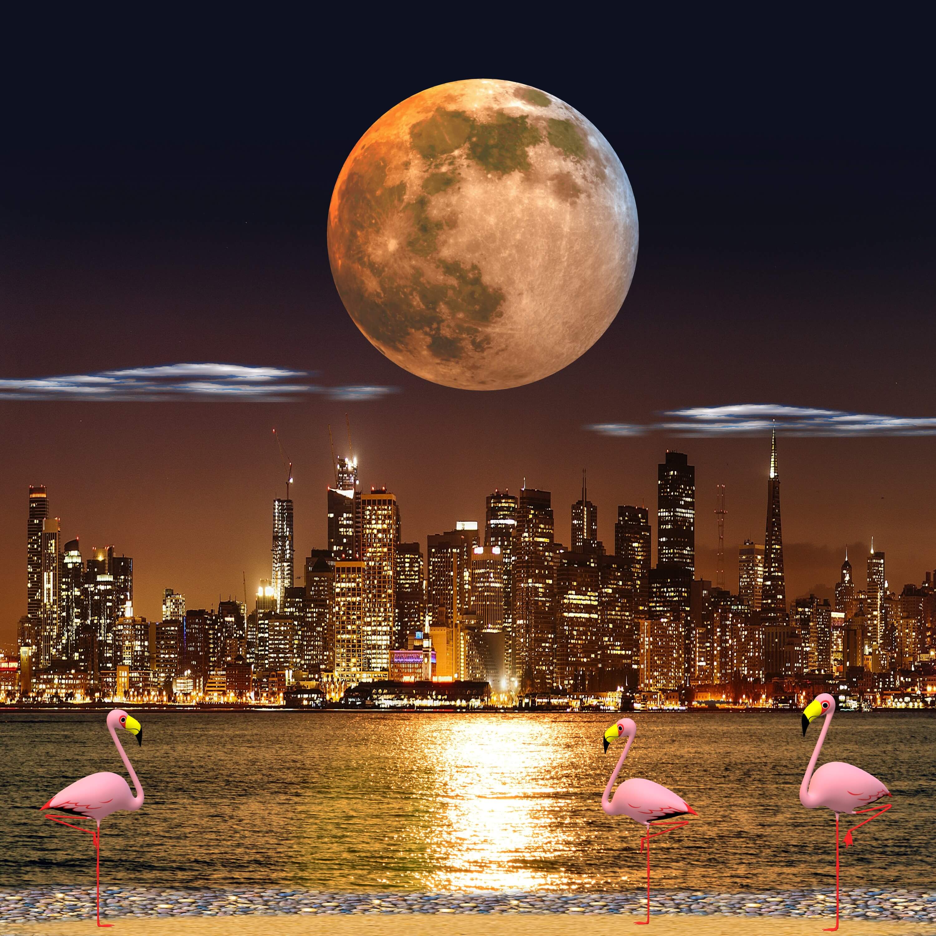 #15 MEGAPOLIS 2 / AEA2M2284699 ® ⭐⭐⭐⭐⭐