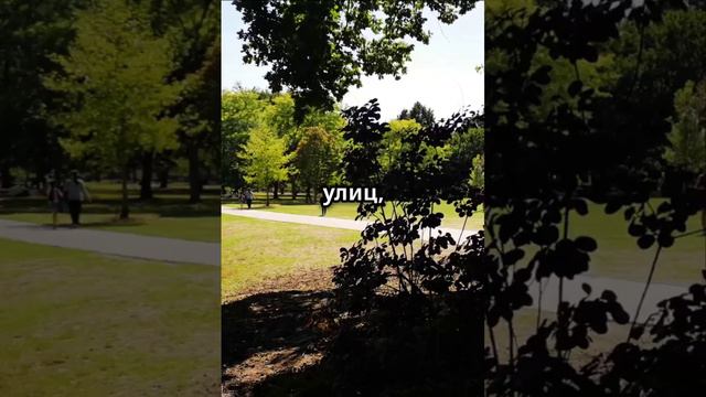 ☀️⛱ Прокачай свое лето !  "Здоровье Лето Challenge"! ⛱☀️