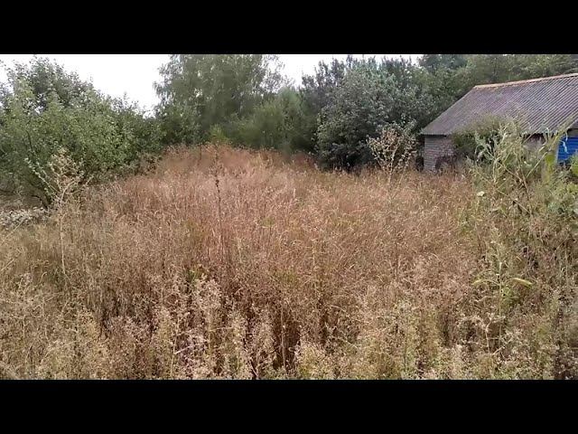 Комплексная расчистка участка