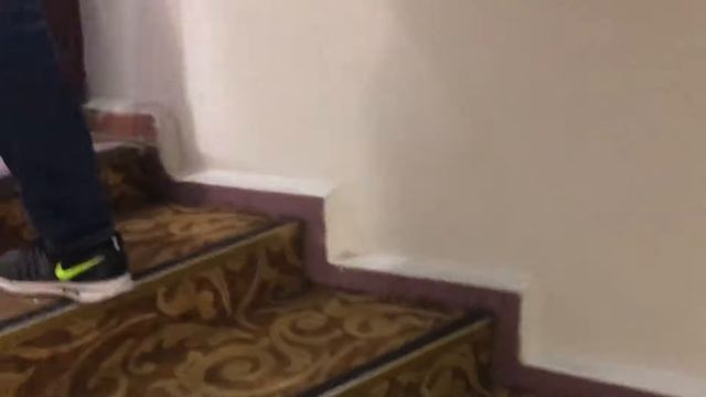 Hali Hotel 4* (Стамбул, Турция)