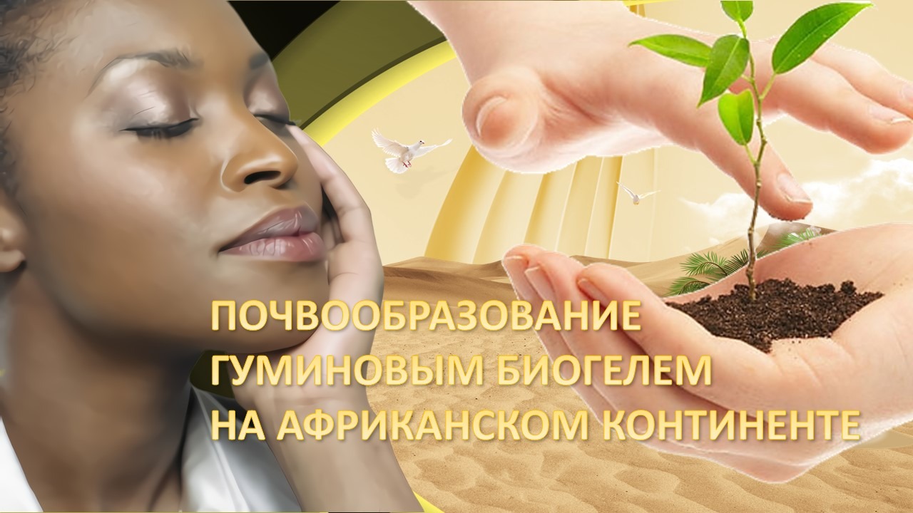 Почвообразование гуминовым биогелем на африканском континенте