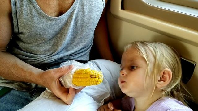 Один день из жизни в поезде