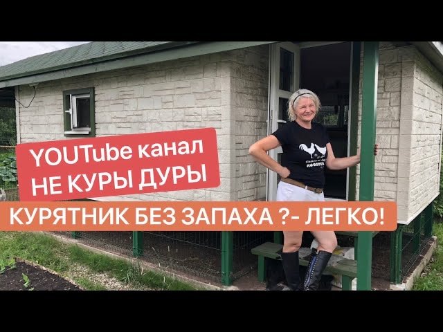 Как  убрать запах в курятнике. Насест без ароматов.