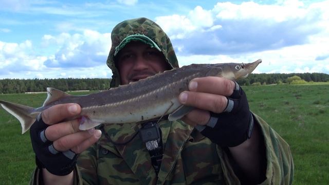 КРОКОДИЛЫ СНОВА В БОЮ. НА ОКЕ. Рыбалка на донки, крокодилы, пенопласт. РЫБУ МЫ СВОЮ ВЗЯЛИ.
