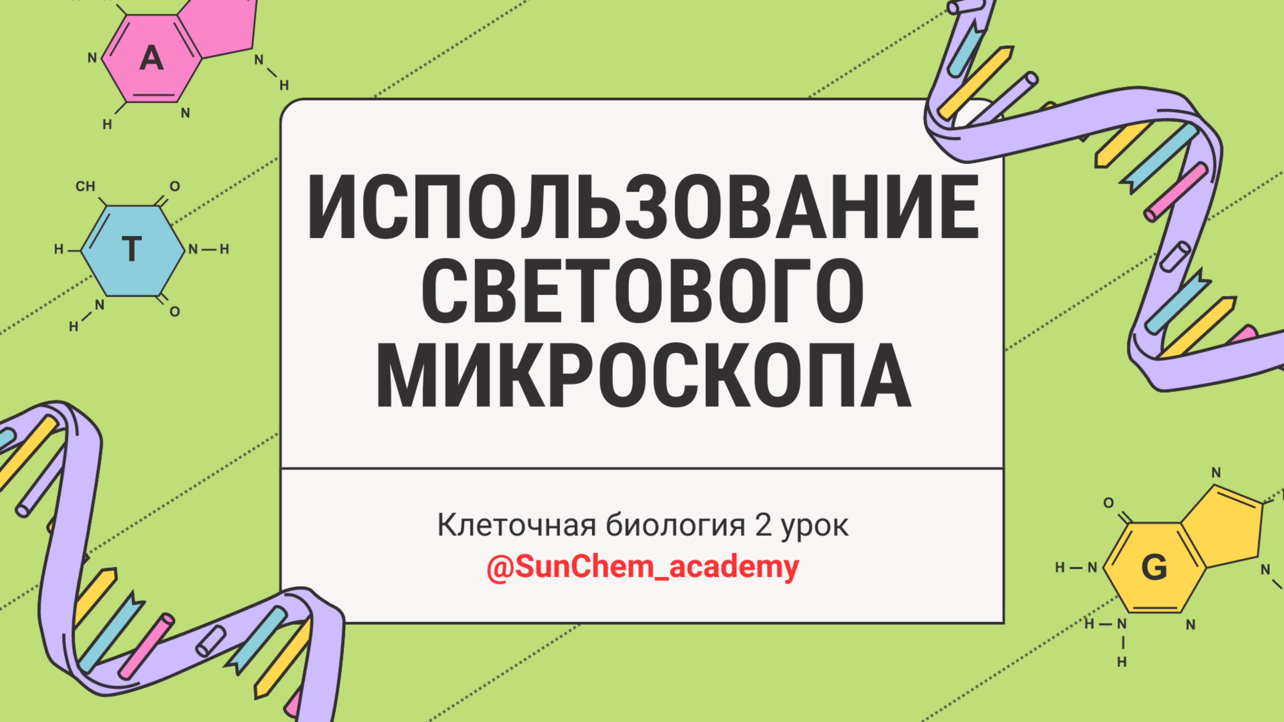 2-урок. Использование светового микроскопа для наблюдения за клетками кожицы лука. Расчет увеличения