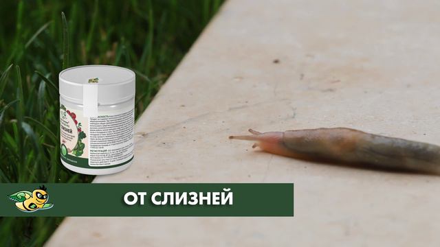 Обзор инновационной линейки биопрепаратов бренда "Живые бактерии", выпущенных в 2024 году.