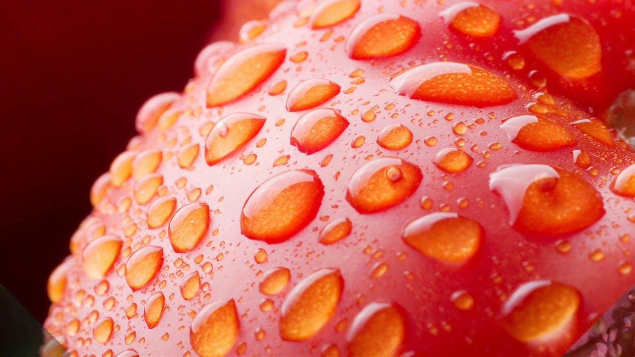 Проект ПроШоу продюсер "Macro mode"