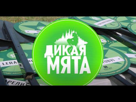 Легендарная Аллея | Дикая Мята