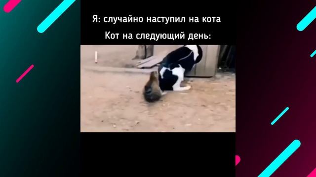 ПРИКОЛЫ ДЛЯ ВЗРОСЛЫХ,ЛУЧШИЕ ПРИКОЛЫ,СБОРКА РЖАЛ ДО СЛЁЗ ЧЁРНЫЙ ЮМОР №63