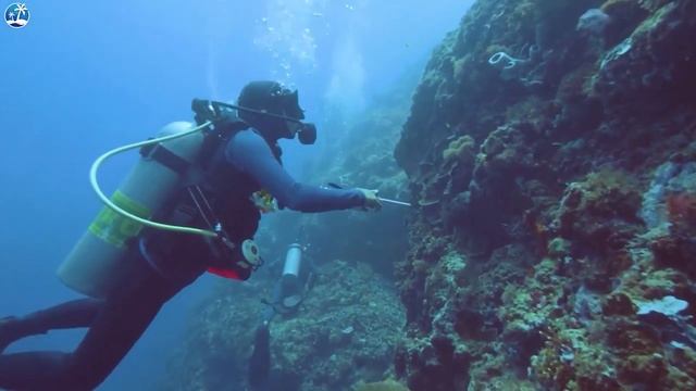 💥Летние воспоминания -coldplay, avicii, chainsmokers, алок, киго, Кэлвин Харрис, Элли Голдинг💥