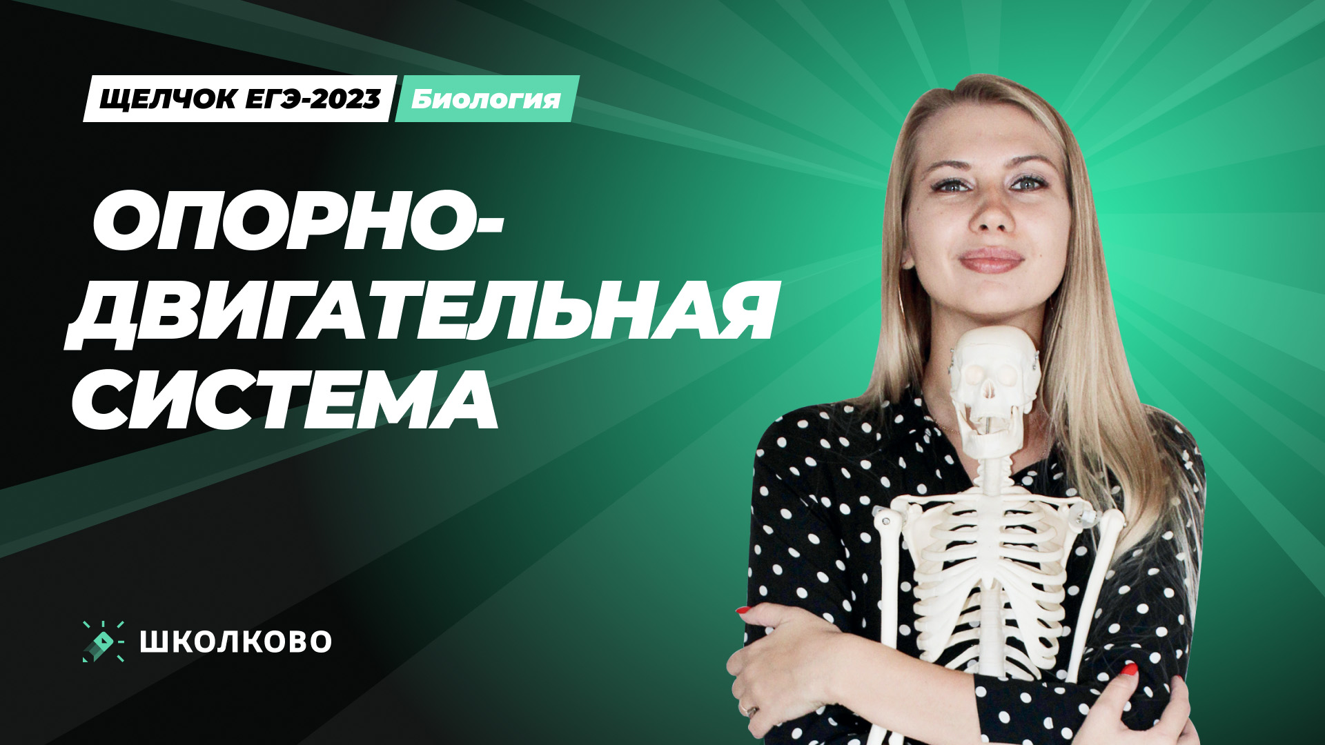 Опорно-двигательная система. Ролик.