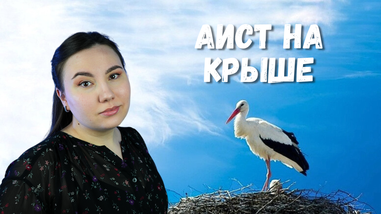 Аист на крыше