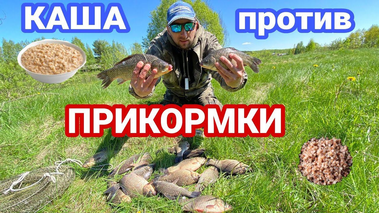 Ловля карася на поплавок в диком лесу весной.