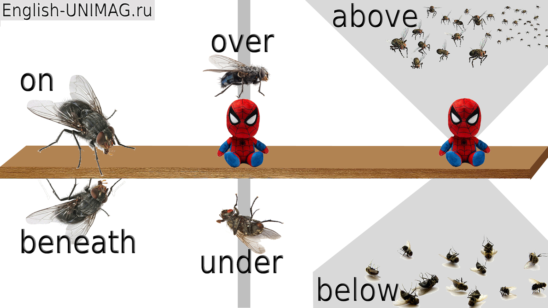 Английские предлоги места on, over, above, beneath, under, below. Особенности их применения.