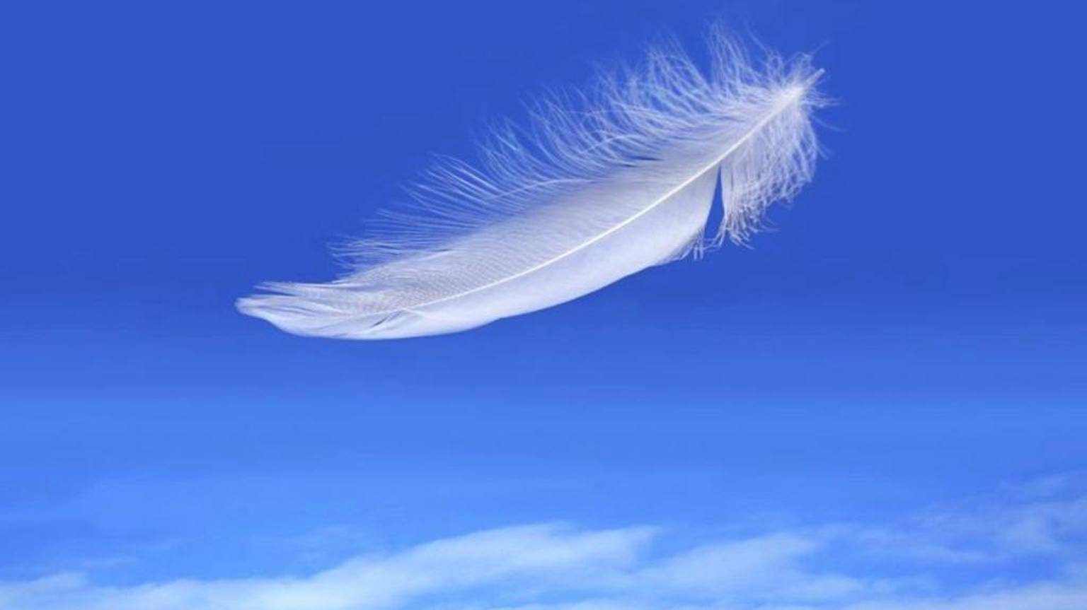 Стихотворение: "ОПРАВДАНИЕ". Читает автор — Елена Артёменко. Запись: сентябрь, 2021 года.