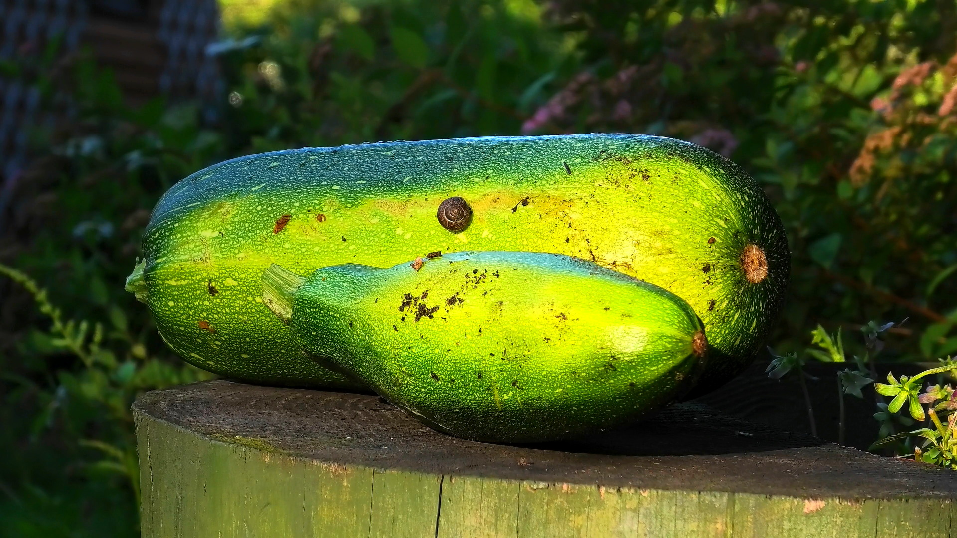 На даче заканчивается лето