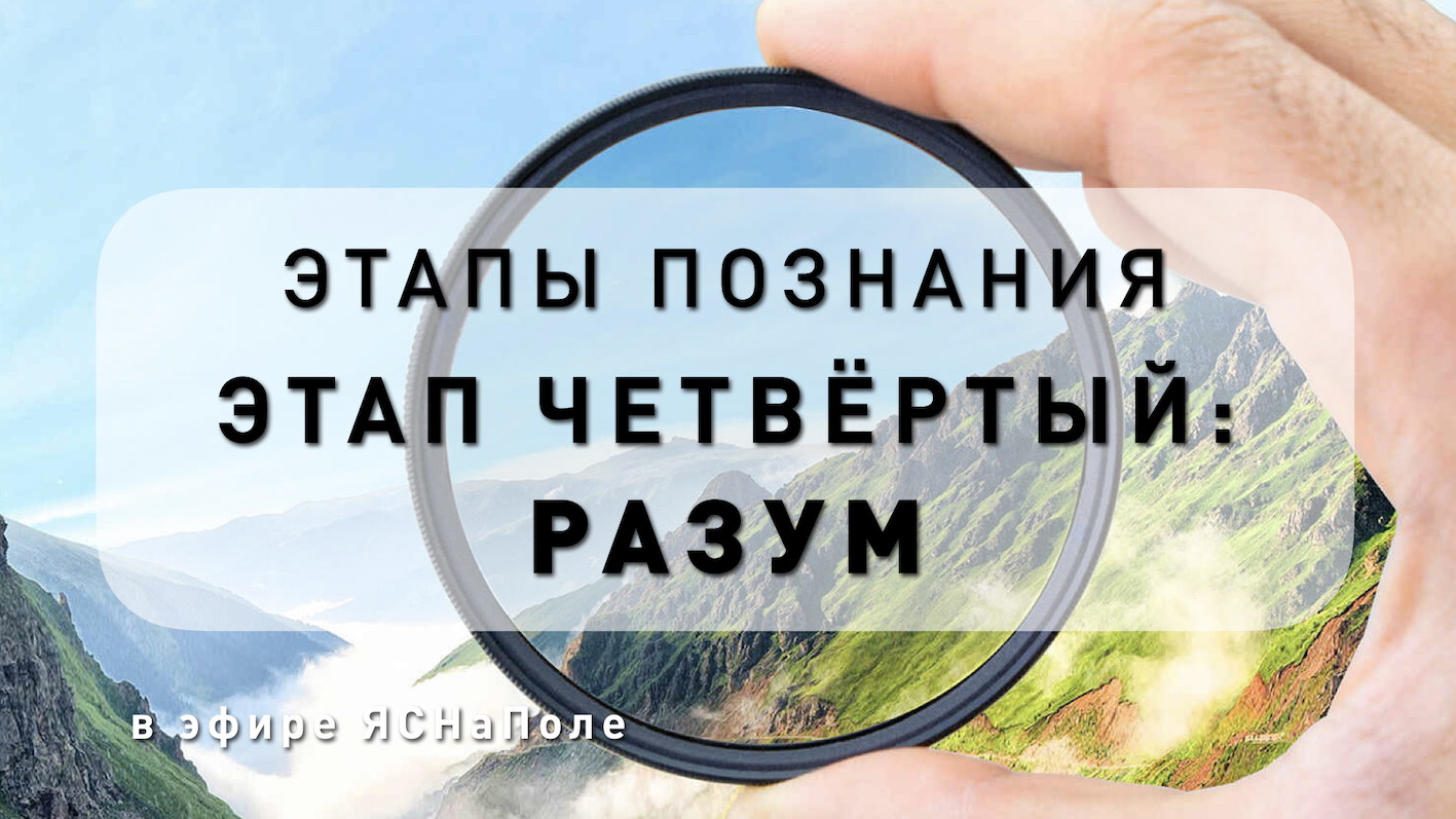 Четвертый этап познания - Разум