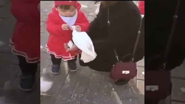 РЕБЕНОК И ГОЛУБИ