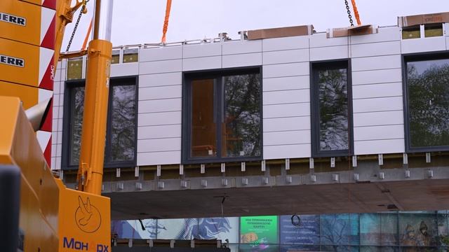 Подготовка к МНИиД 2023