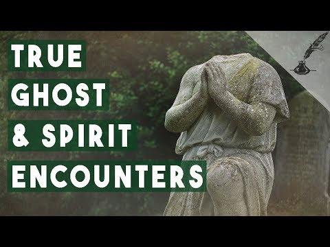 5 Eerie Allegedly True Ghost & Spirit Encounters | Real Paranormal Stories Series