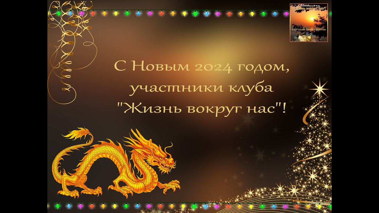 С НОВЫМ 2024 ГОДОМ ЖВН