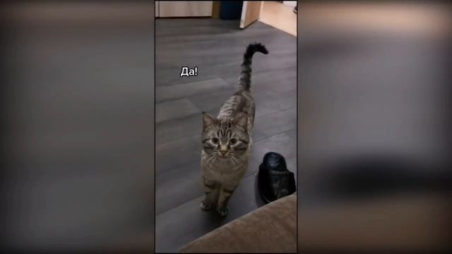 Интересные животные