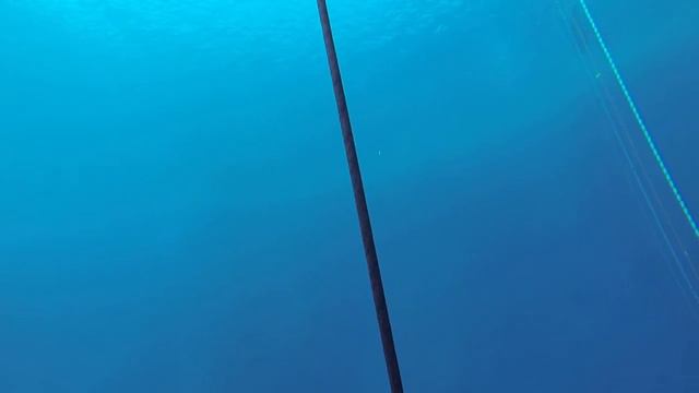 Дахаб 2014 Фри семинар,глубина