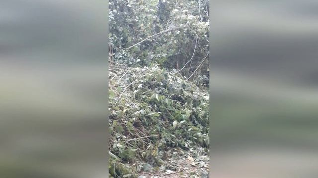 Жесть... Гроза с последствиями...