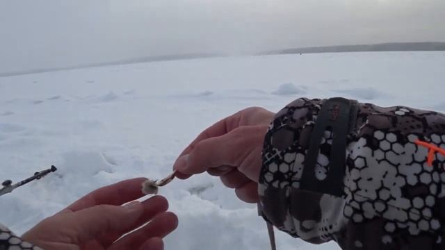 Ловля окуня на блёсны от Mr.Musurok Lures&Rods ??