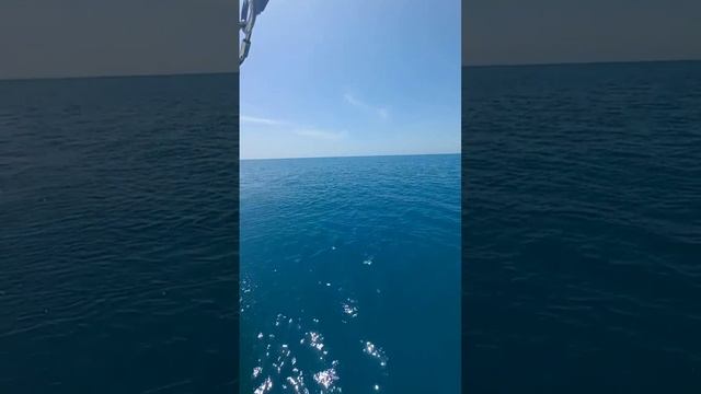 Аренда Яхты в Лазаревском