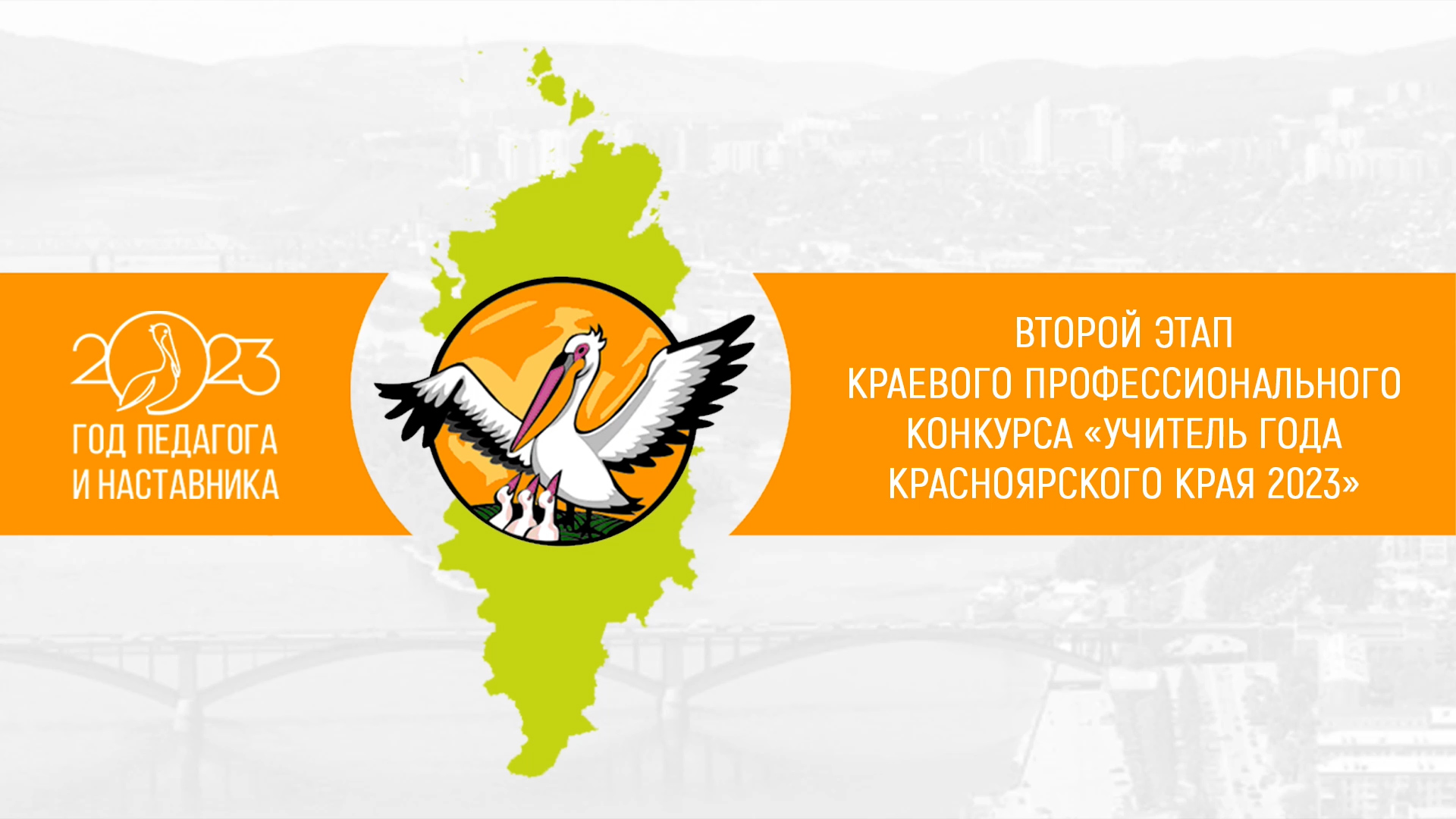 Литература. Чайка Светлана Львовна