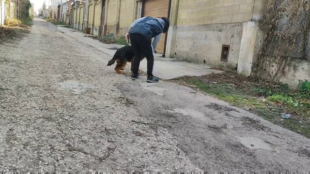 Хэппи Янкор Кримеа, 4,5 месяца. ПРОДАЕТСЯ!
Документы РКФ. Дата рождения: 17.07.2022 г.
Все прививки