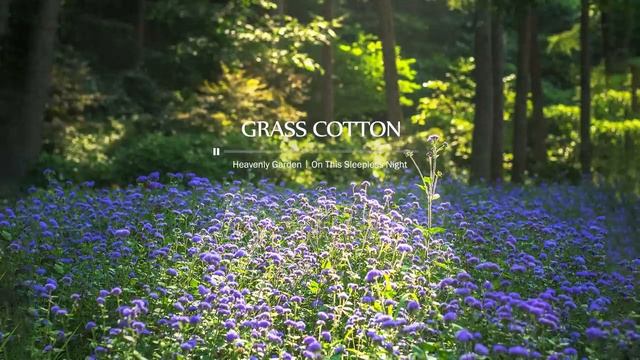 Приятная теплая успокаивающая музыка. Музыка для чтения и отдыха.