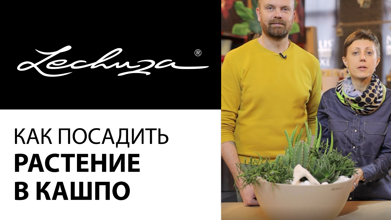 Кашпо Lechuza. Как посадить растение в кашпо Лечуза