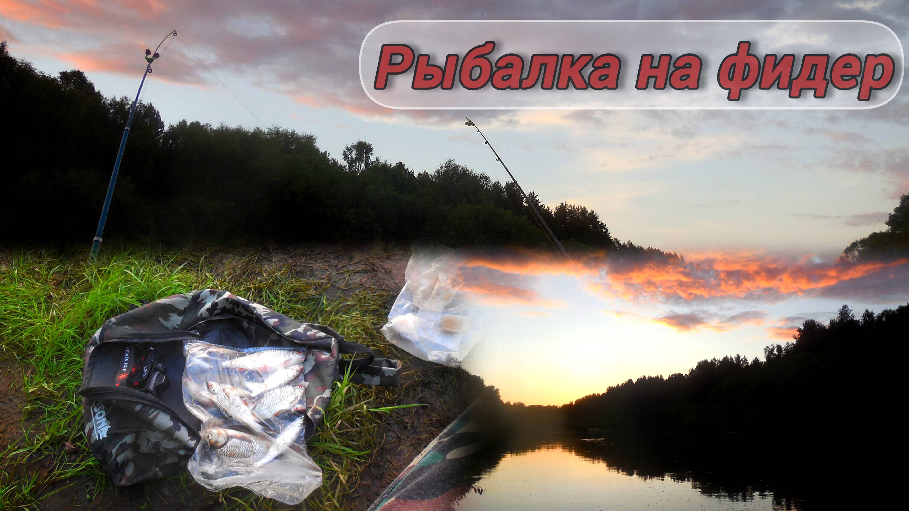 ПОЙМАЛ СОМА на ФИДЕР! ВЕЧЕРНЯЯ РЫБАЛКА на ДОНКУ. Ловля разной рыбы на фидер на реке